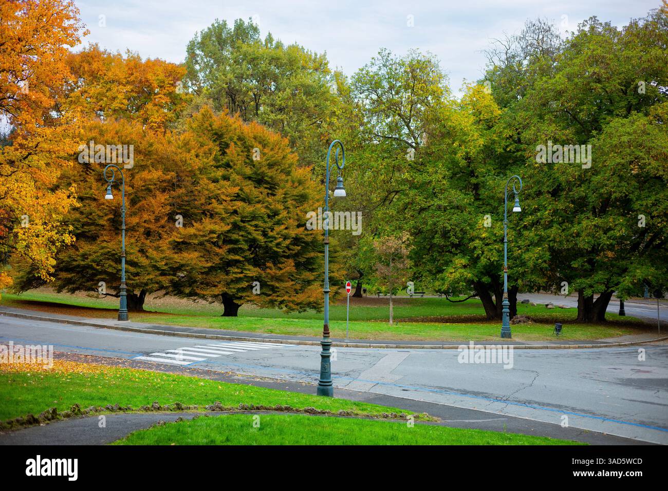 A road curves through Parco del Valentino in Turin, Italy, surrounded ...