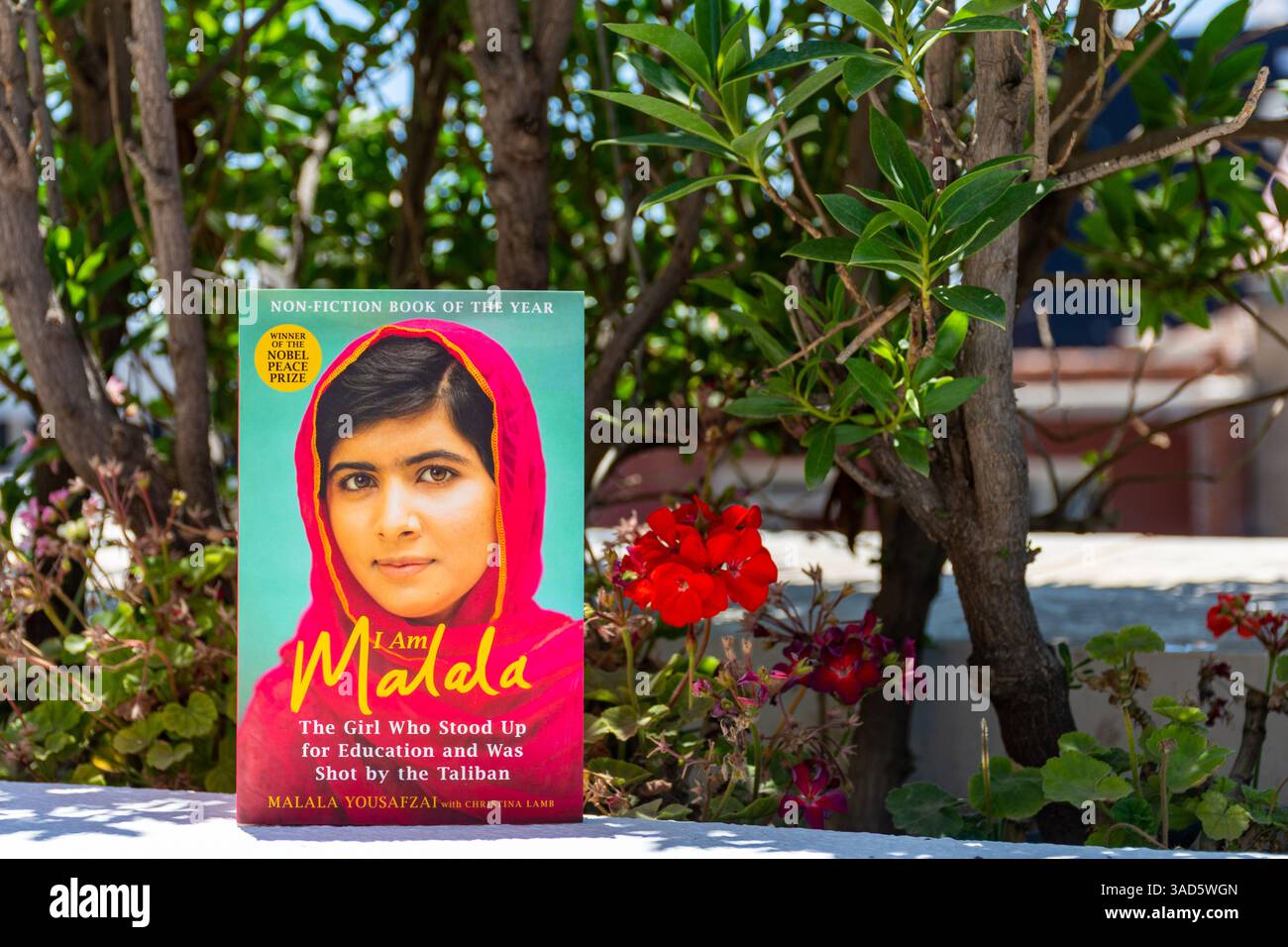 Close-up of Malala Yousafzai's I Am Malala: How One Girl Stood Up for ...