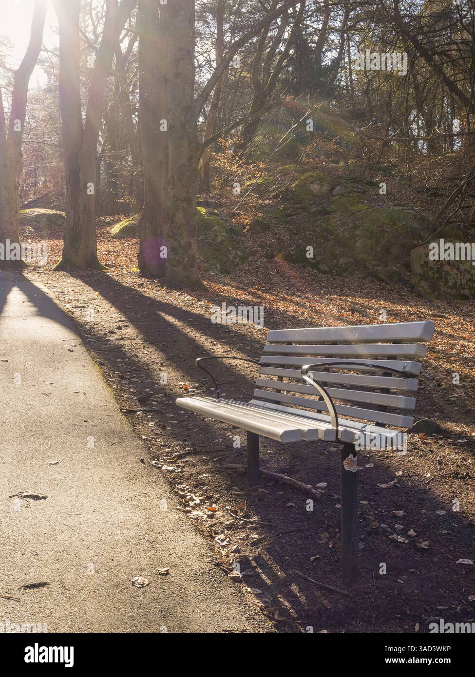 A solitary bench rests in a sun-drenched park in Gothenburg during ...