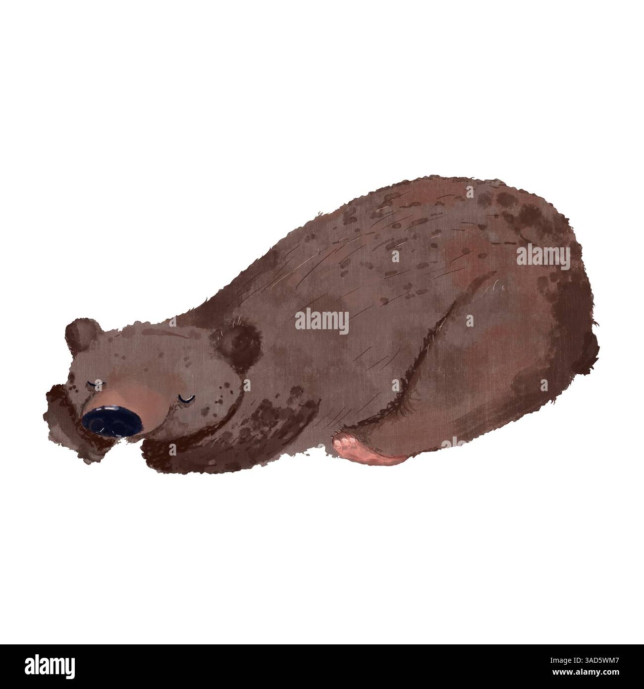 Hand-drawn illustration of a sleeping bear in a childlike style with ...