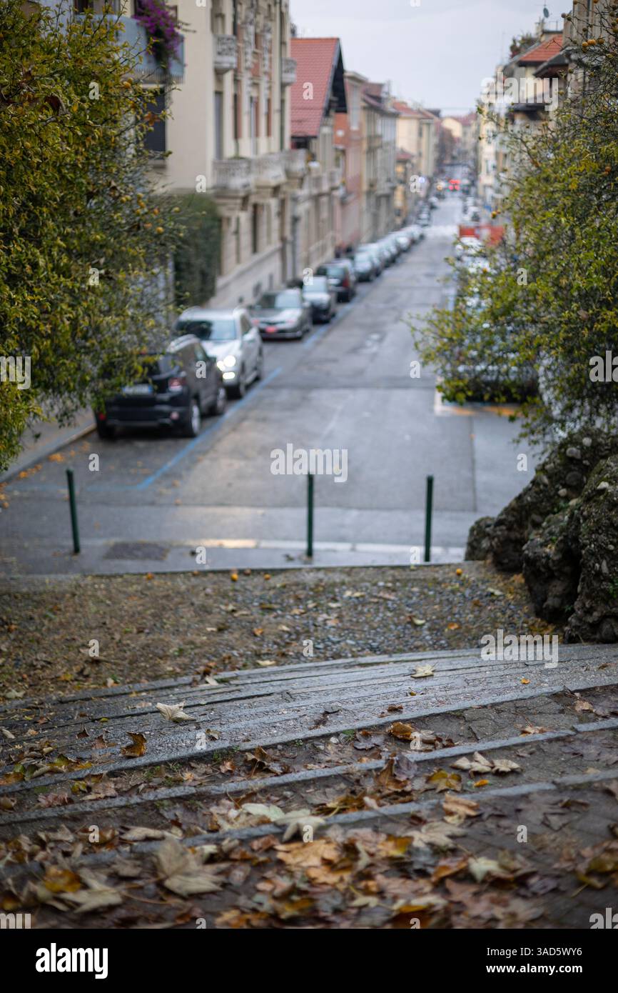 Autumn in Turin, Italy: a view down a city street from the top of leaf ...