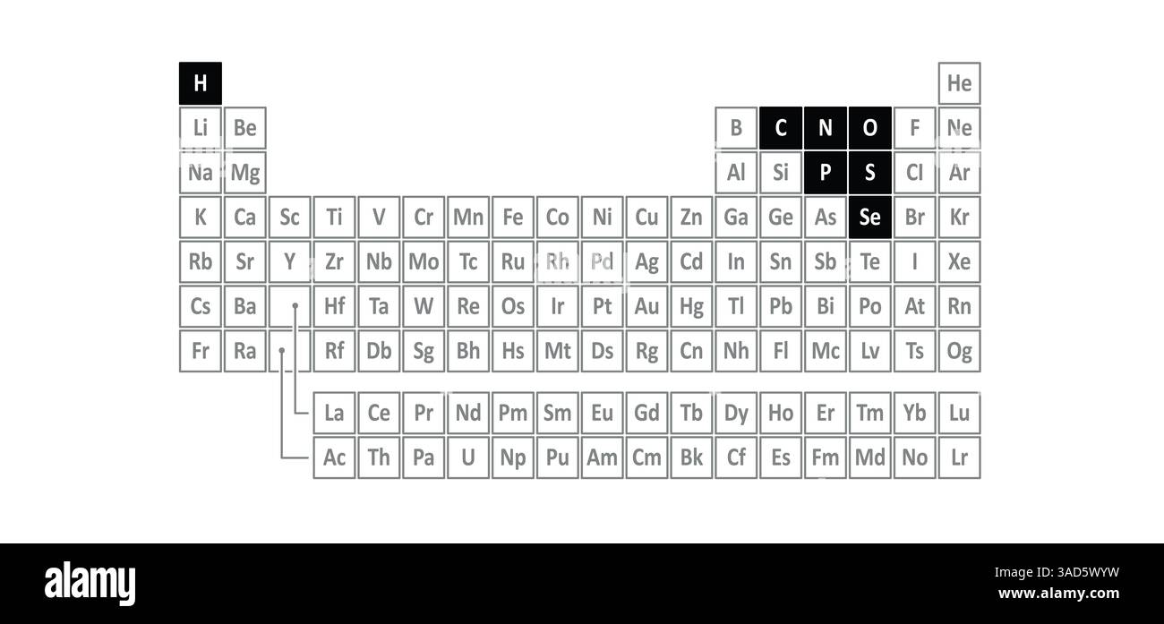 Nonmetals, periodic table of elements. Carbon, C -Nitrogen, N, Oxygen ...
