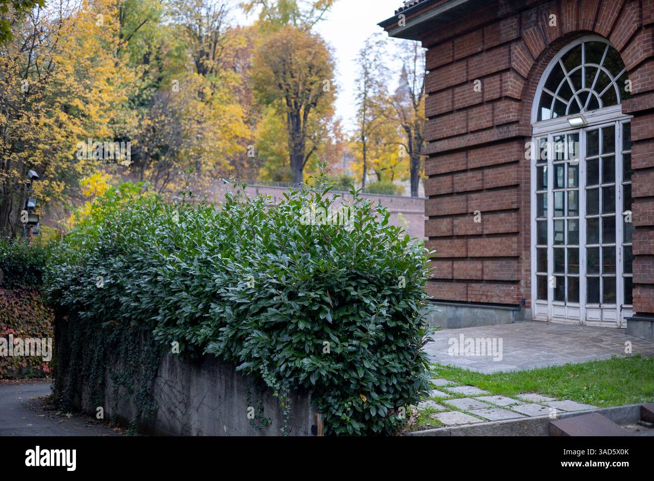 Winding autumn path in a Turin, Italy park. Colorful foliage and a ...
