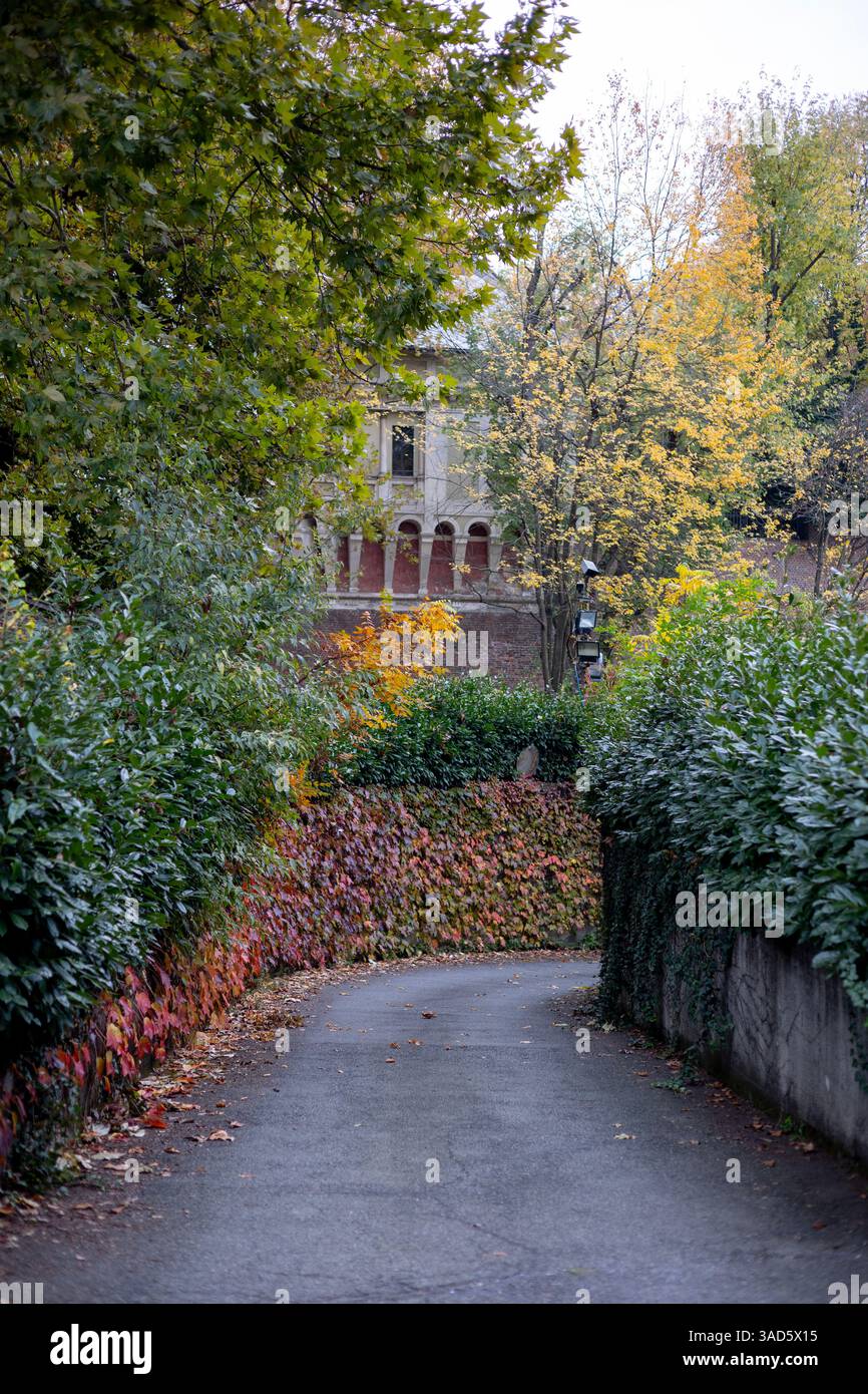 Winding autumn path in a Turin, Italy park. Colorful foliage and a ...