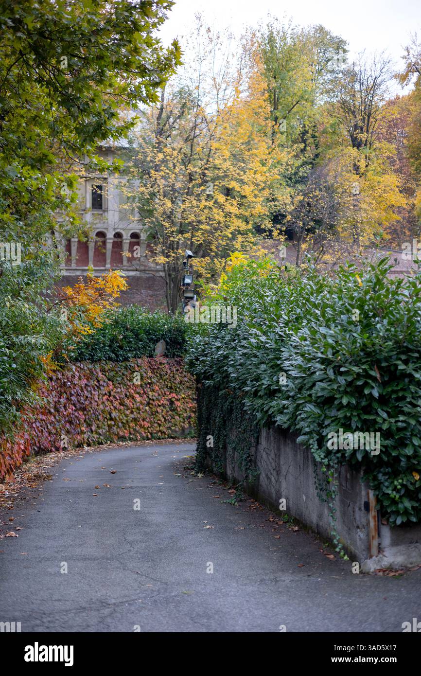 Winding autumn path in a Turin, Italy park. Colorful foliage and a ...