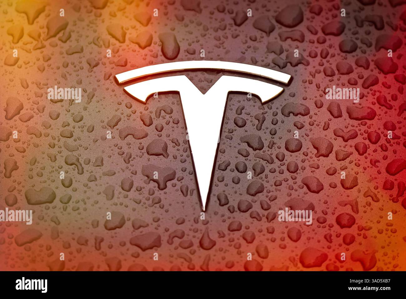 Neu-Ulm, Germany - March, 30, 2025: Close up of a Tesla car logo wth ...