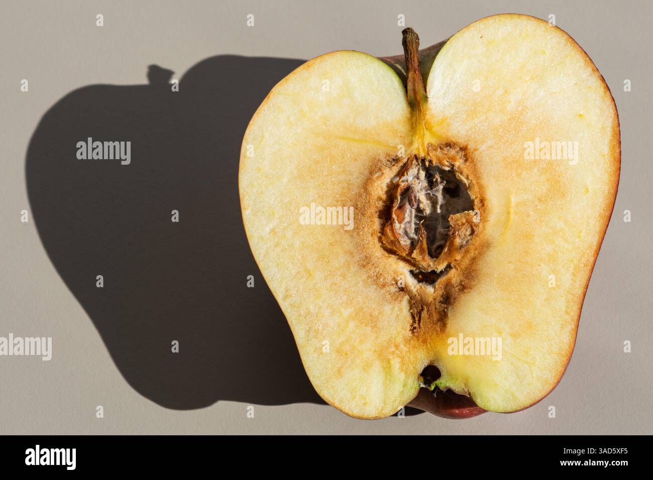 Apple sliced in half with a heavily rotten, darkened core ...