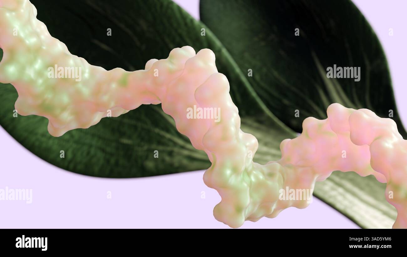 A 3d rendering of RNA molecule and healthy green leaf. Molecular ...