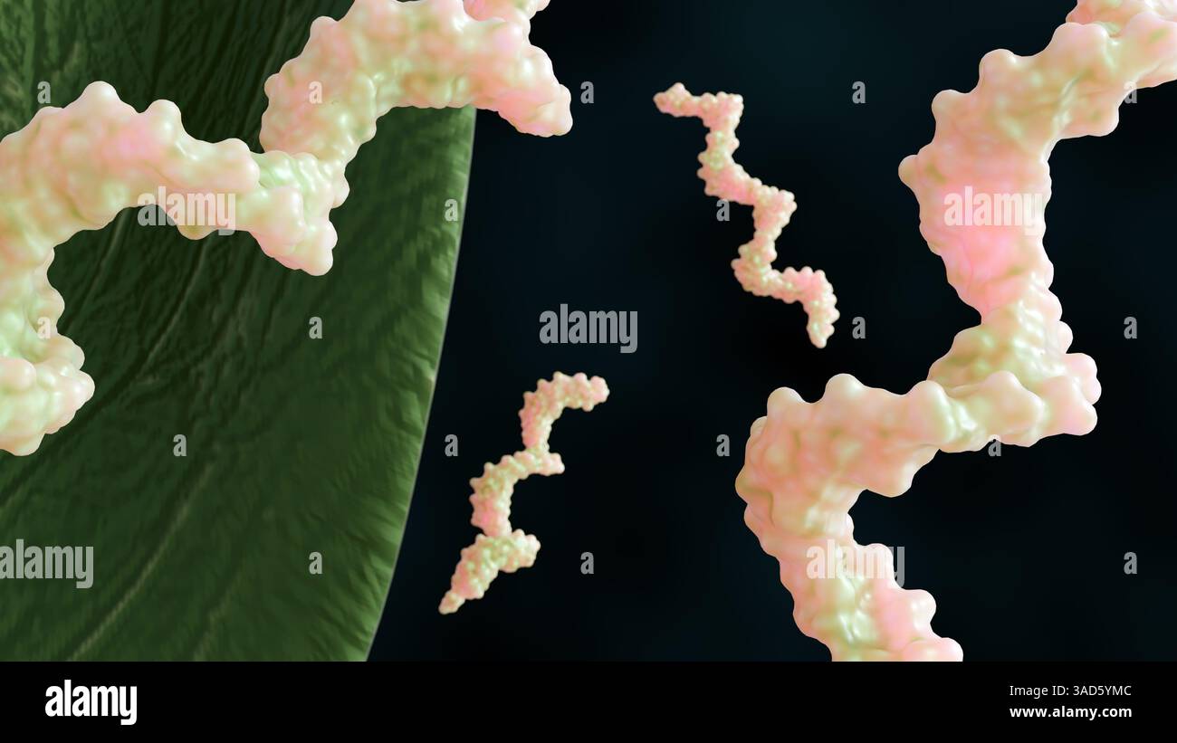 A 3d rendering of RNA molecule and healthy green leaf. Molecular ...