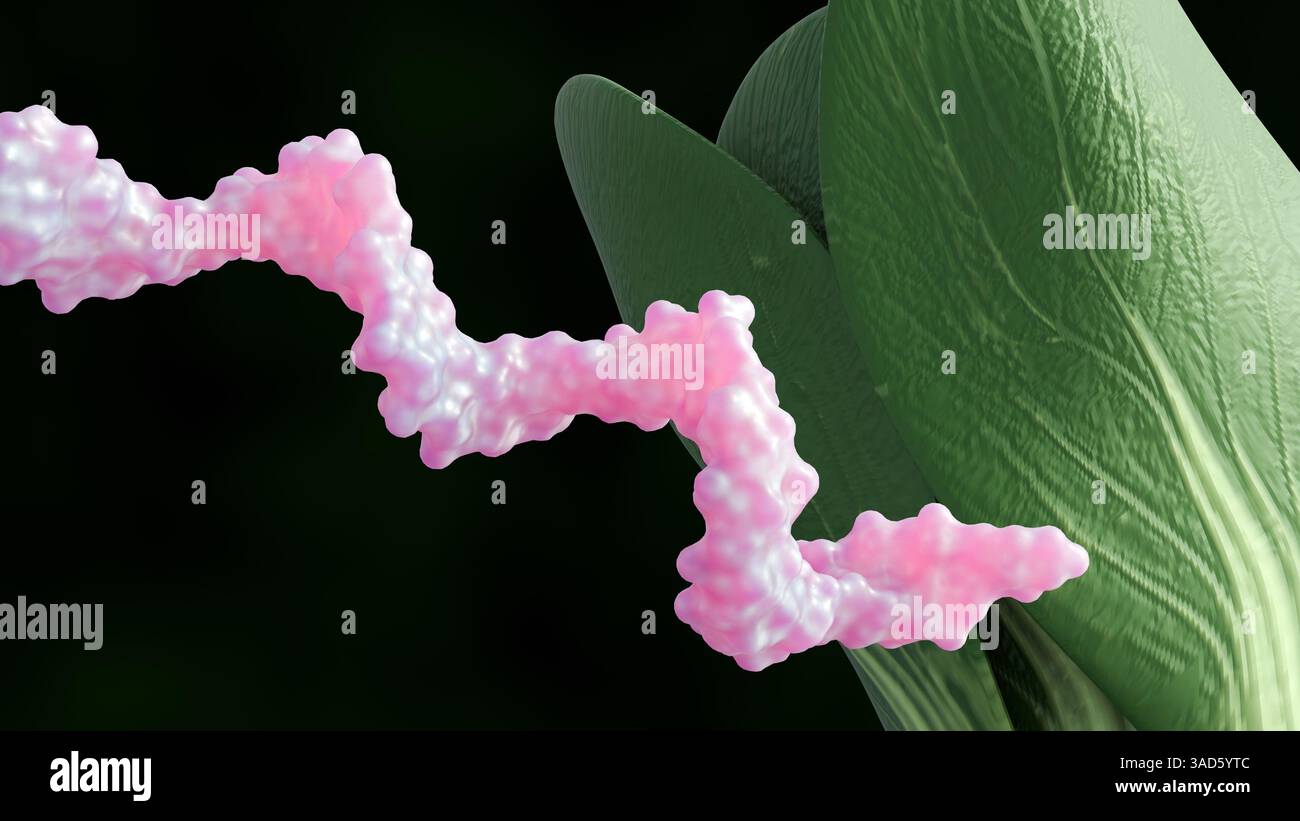 A 3d rendering of RNA molecule and healthy green leaf. Molecular ...