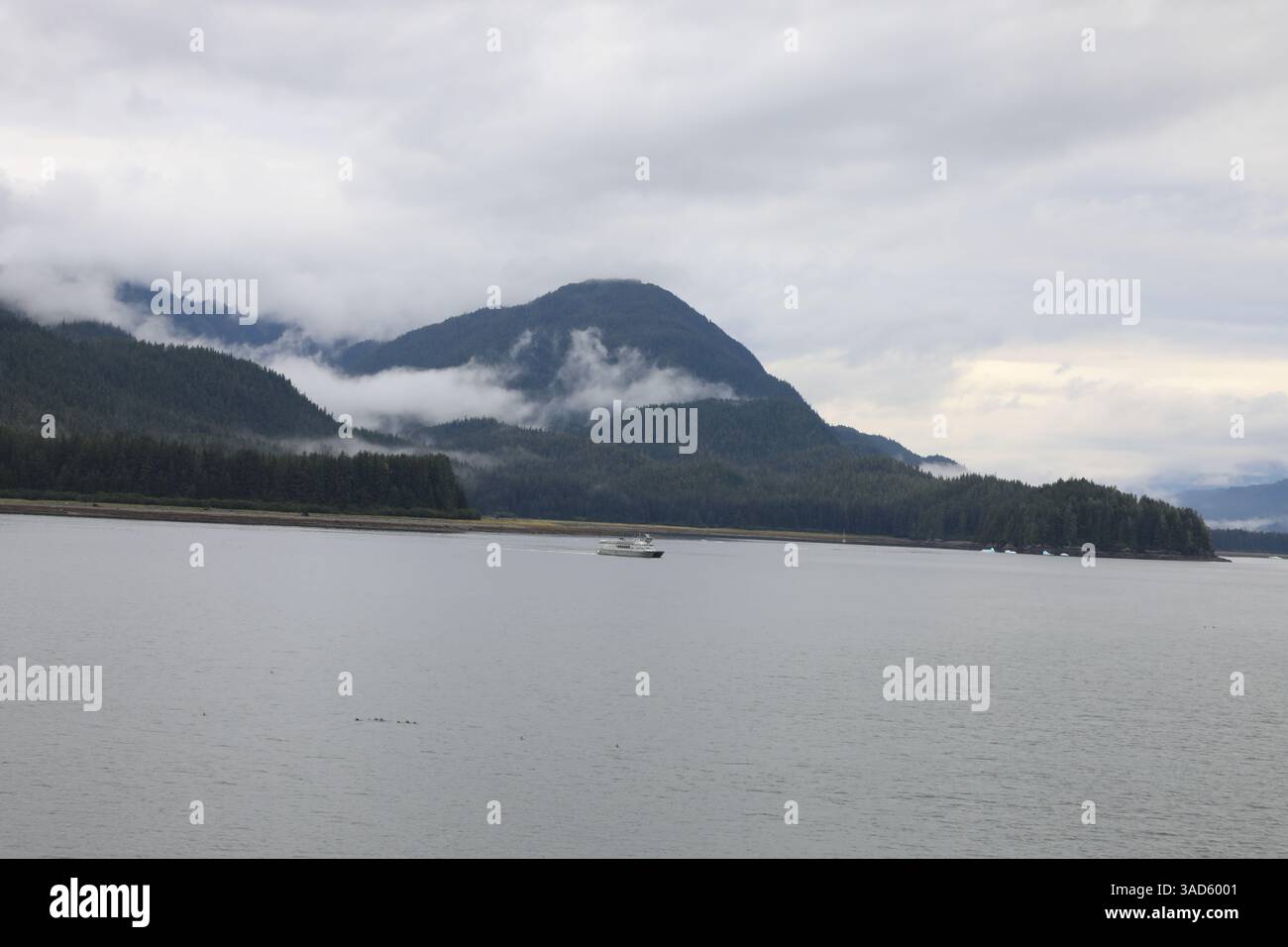 Tracy Arm Fjord Iceberg. Iceberg in Tracy Arm Fjord, Alaska Stock Photo ...