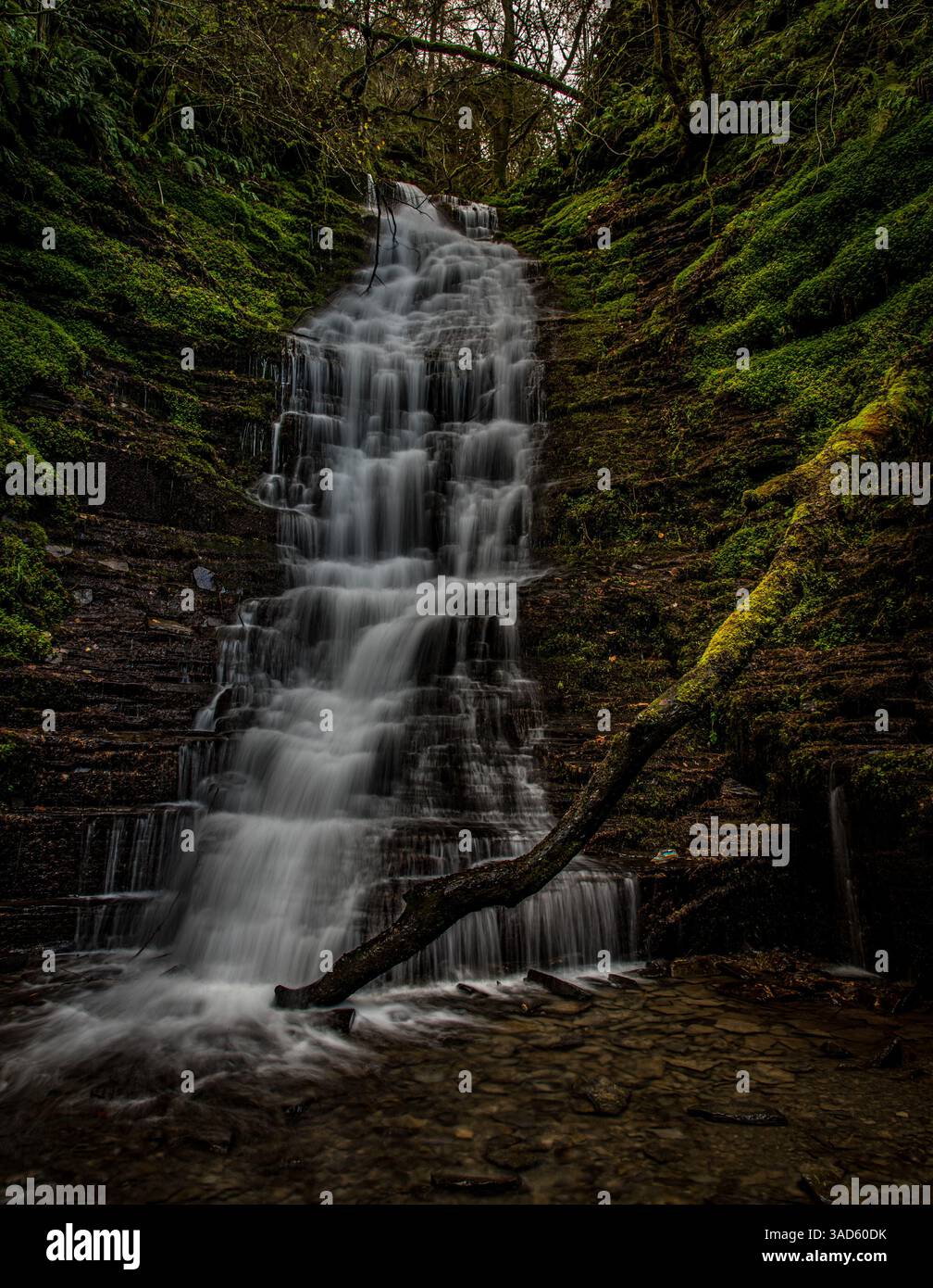water-break-its-neck waterfall in Wales uk Stock Photo - Alamy