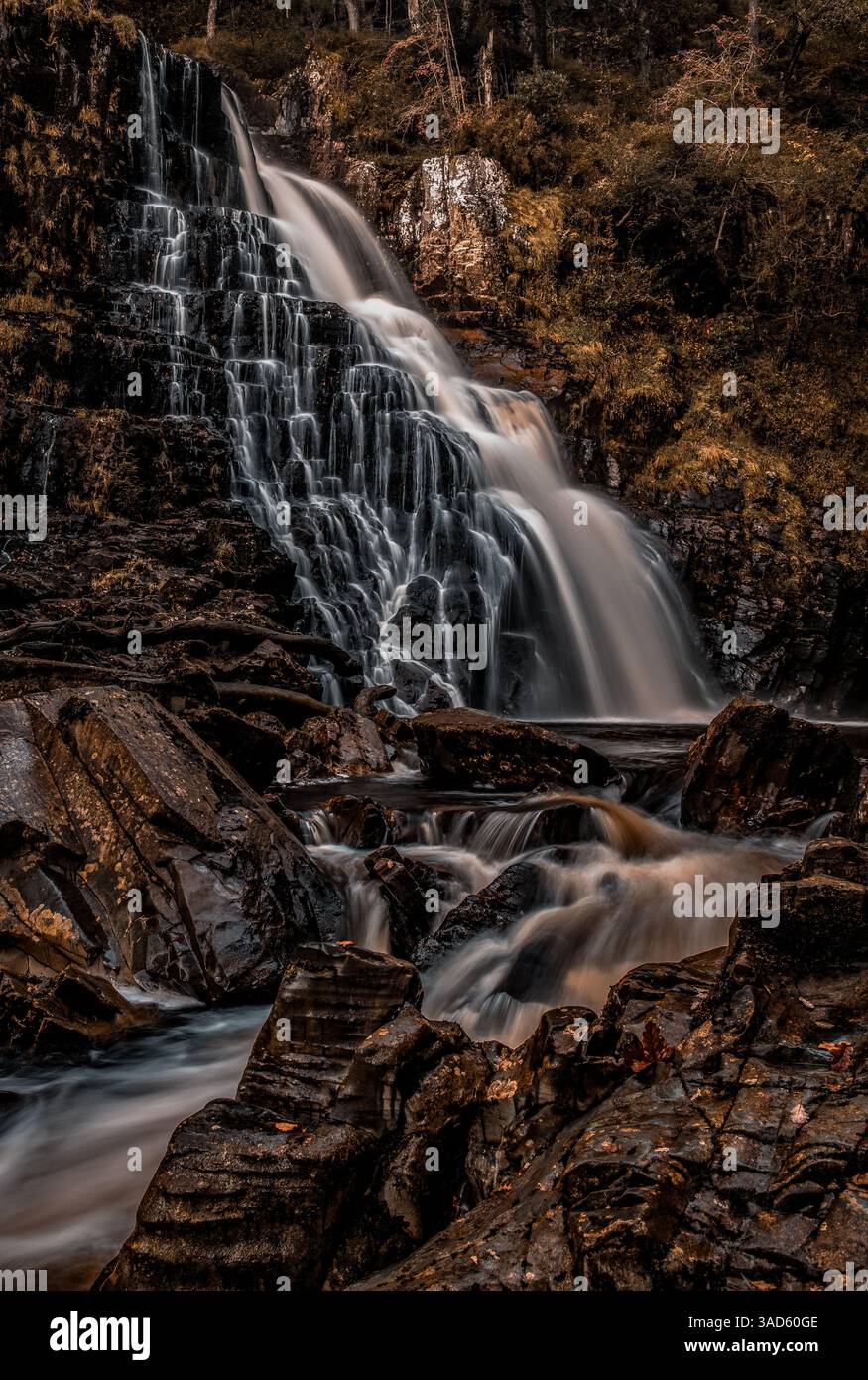 Coed y brain hi-res stock photography and images - Alamy