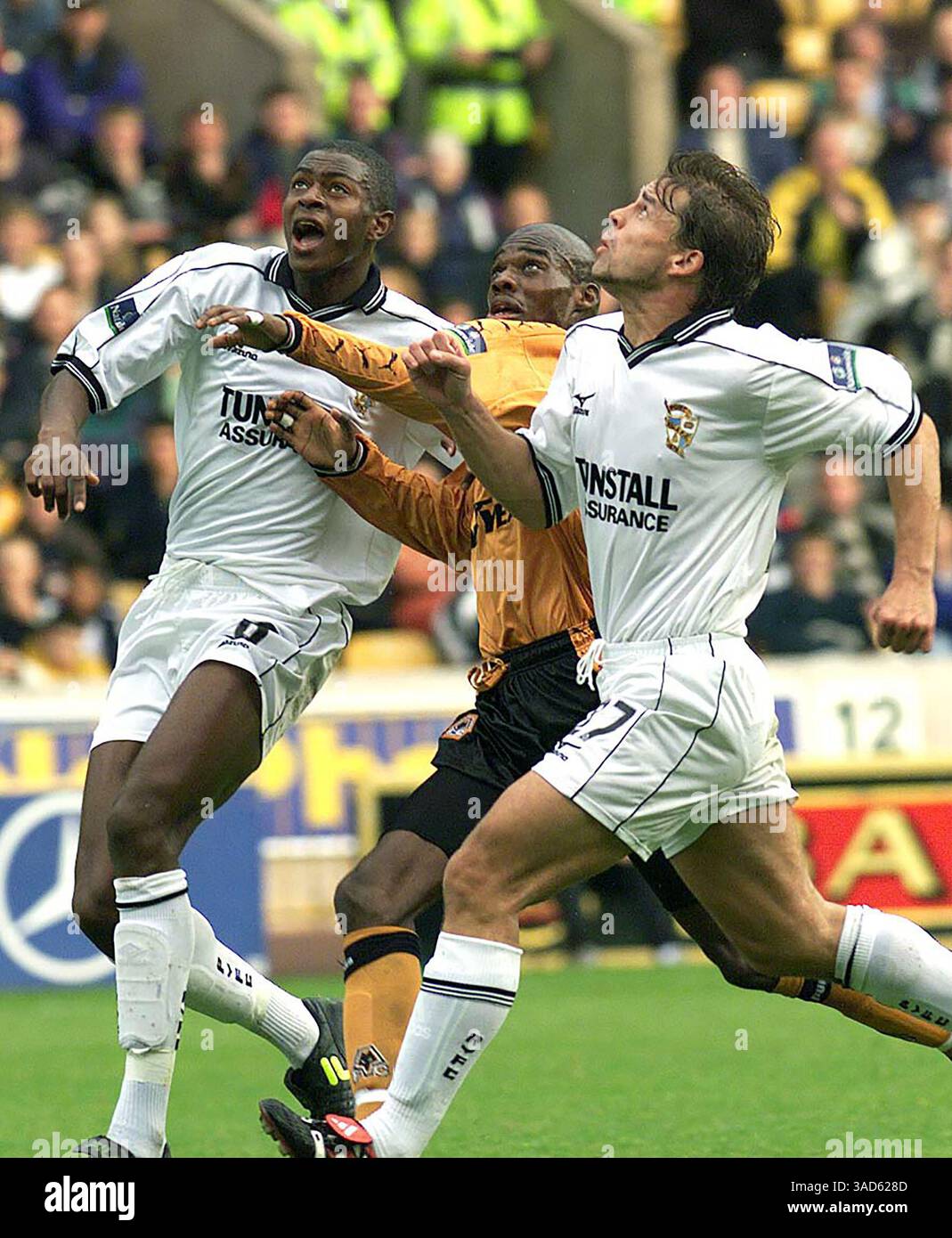 Mark snijders hi-res stock photography and images - Alamy