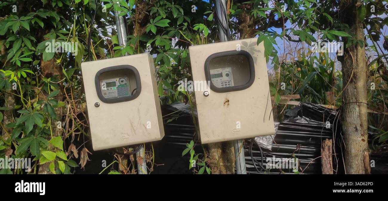 Two electric meter boxes mounted on poles, surrounded by greenery ...