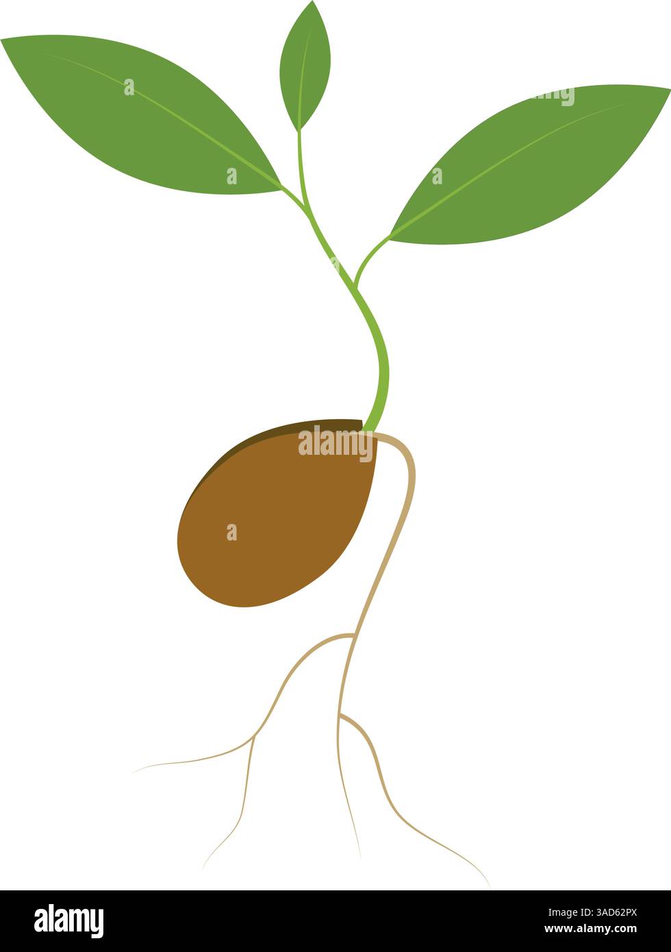 Simple sprouting seed drawing. Green cartoon sprout vector illustration ...