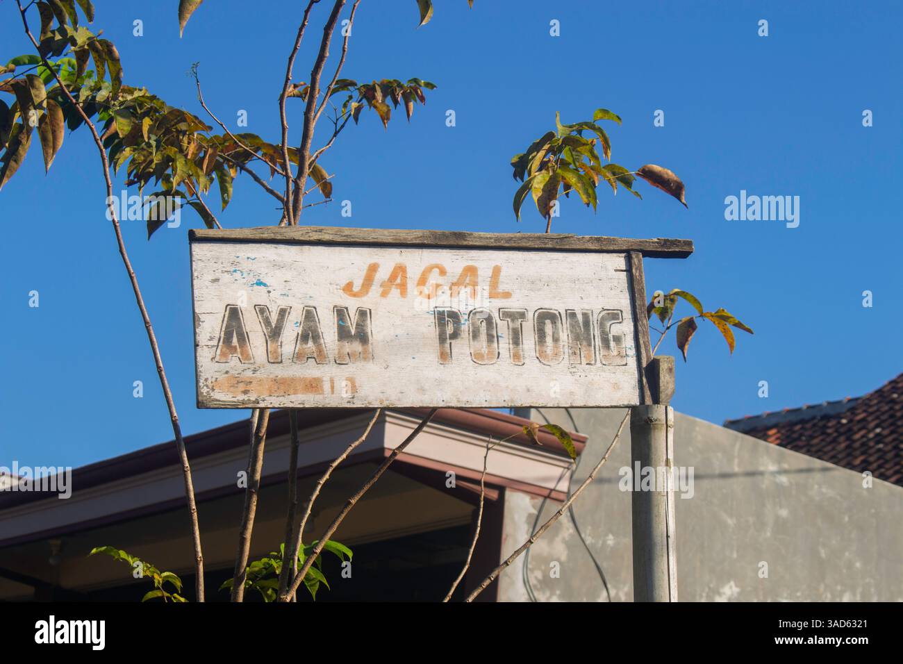 rustic sign in Indonesian, marking a chicken slaughterhouse, offering a ...