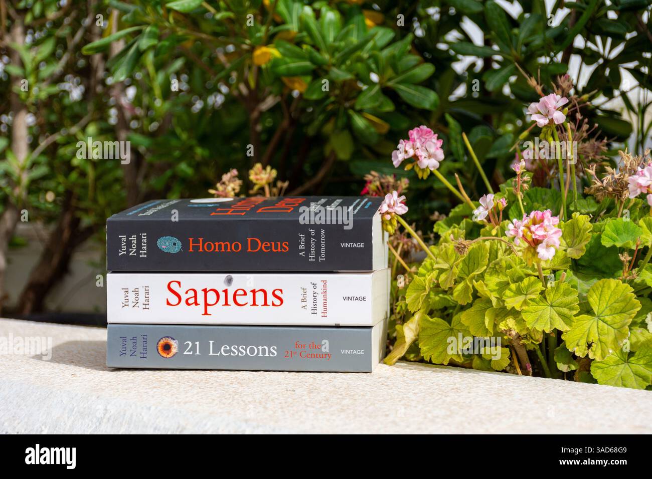 Sapiens yuval noah harari book hi-res stock photography and images - Alamy
