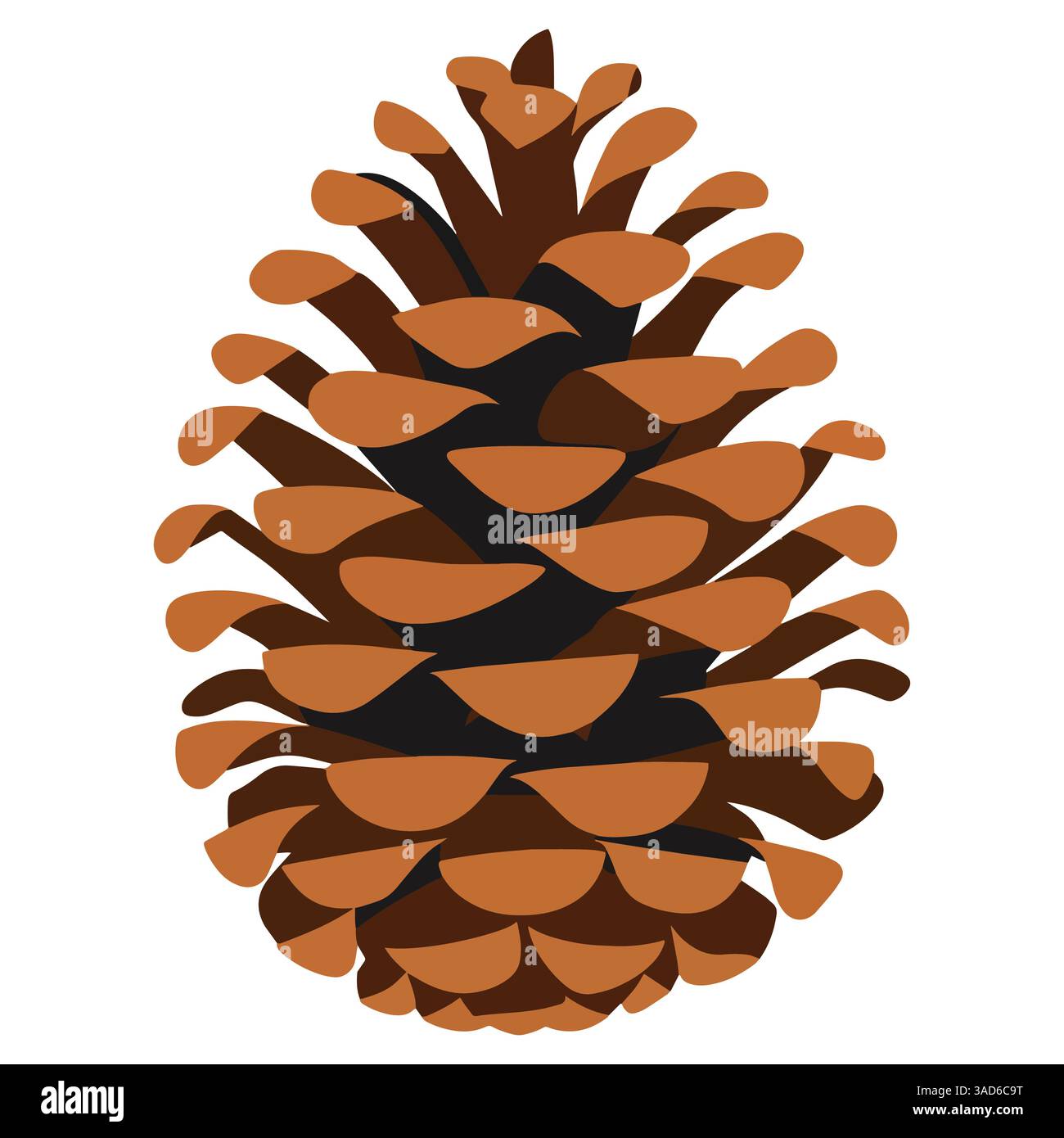 Pine or fir cone illustration. Simple botanical vector element in color, ideal for logos ...