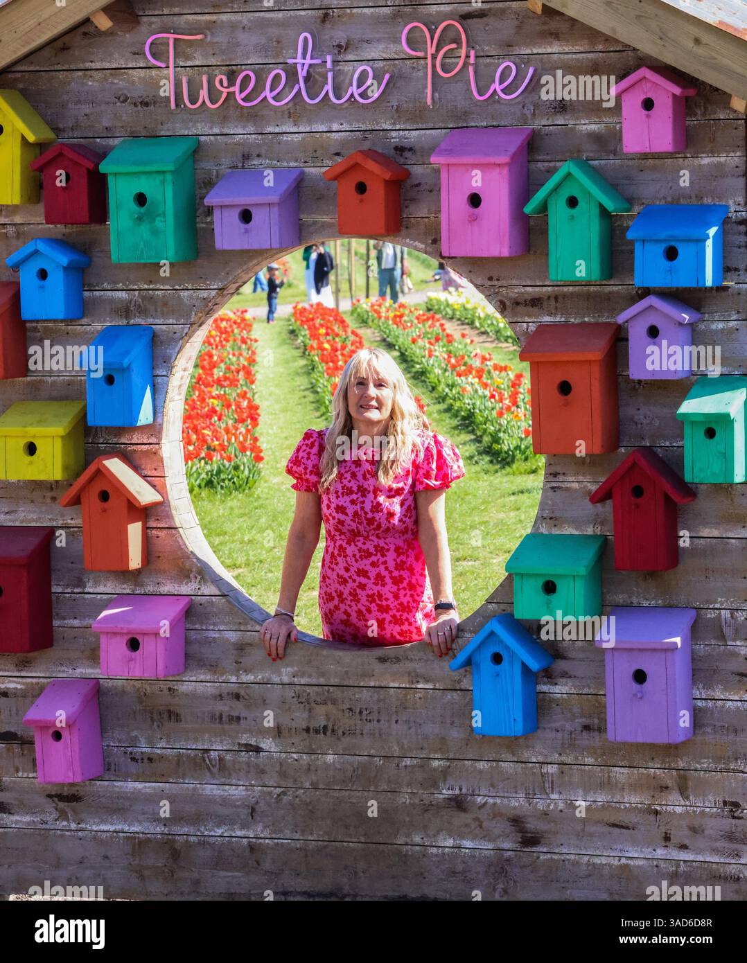 tulley's Farm, Tulip Fest, Crawley West Sussex, UK. 05th Apr, 2025 ...