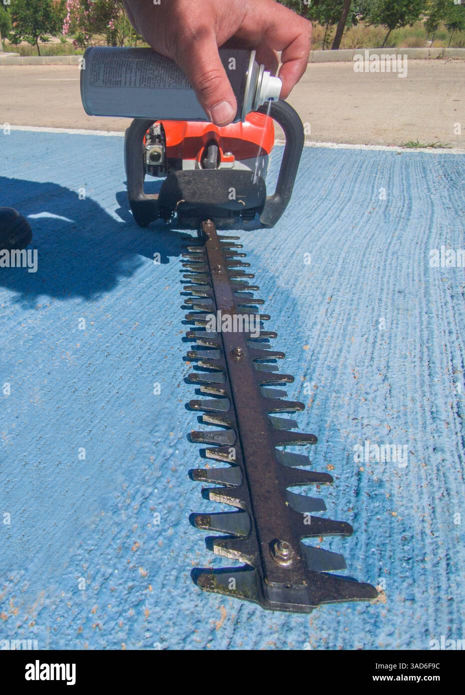 Gardener greasing spray the blades of a hedge trimmer. Efficient ...