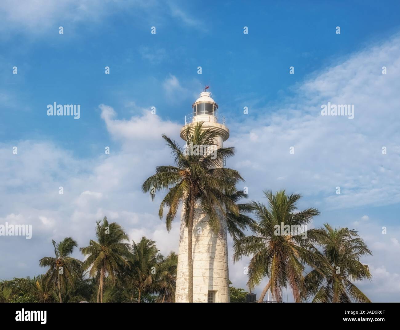 Coconut palms sway against a blue sky and a lighthouse at Galle Fort in ...
