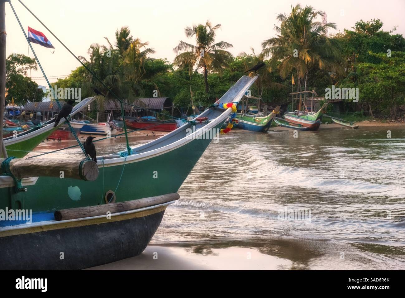 Traditional fishing boats in the port of Galle, Sri Lanka Stock Photo ...