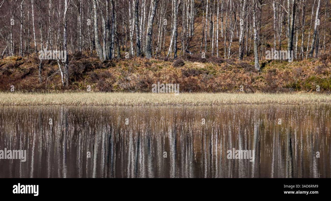 Aviemore, Scottish Highlands, Scotland, UK, 5th April 2025. UK Weather ...