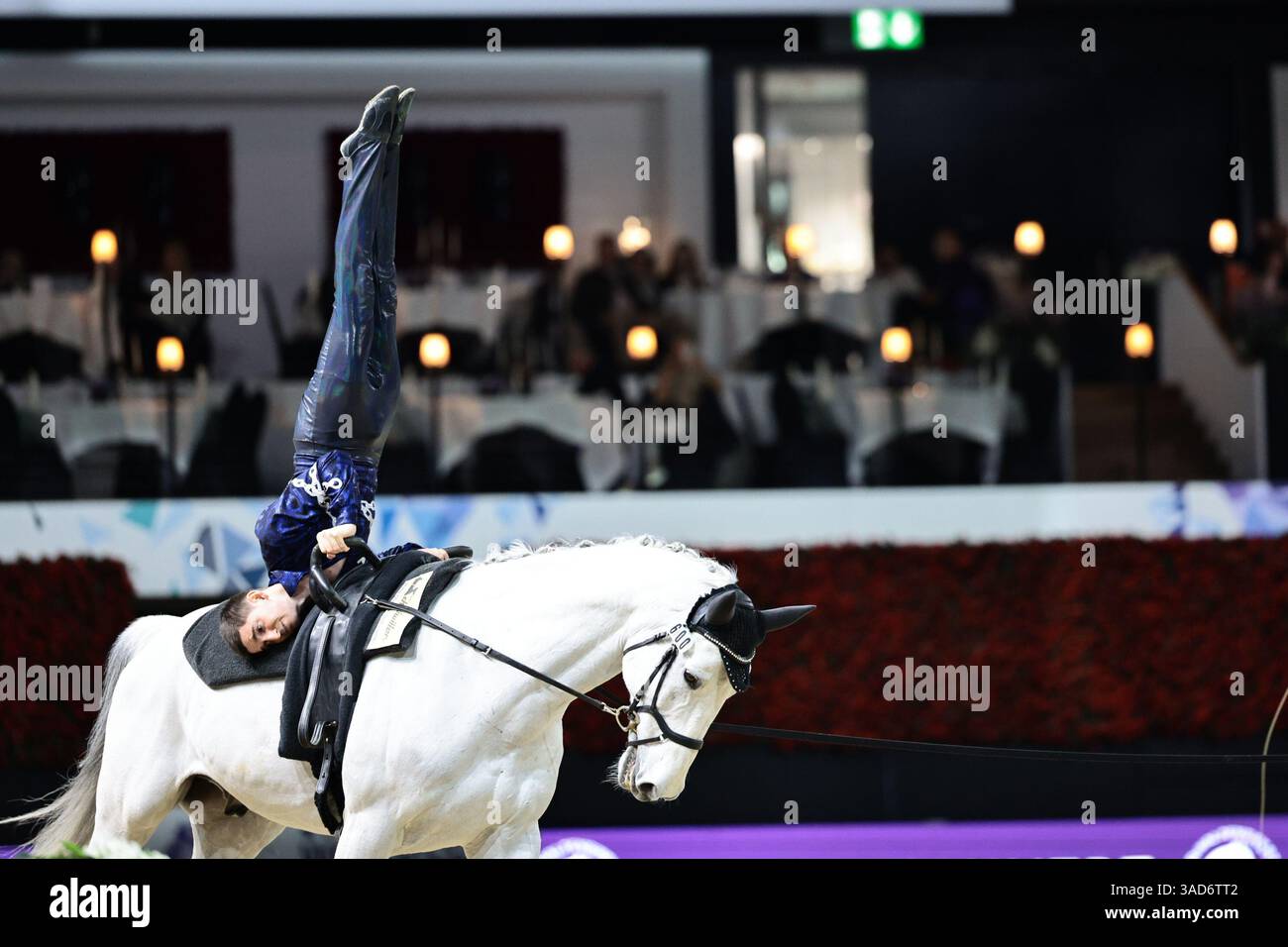Lukas HEPPLER of Switzerland with ACARDI VAN DE KAPEL during the FEI ...