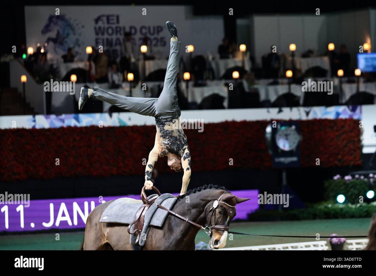 Daniel JANES of United States of America with CARETES AUHOERN during ...