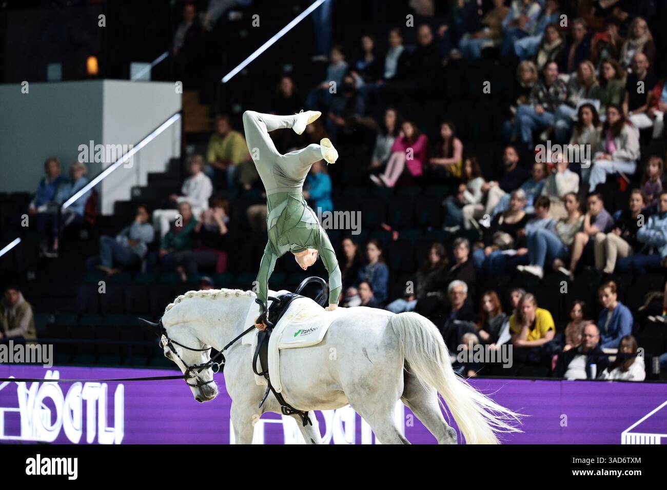 Thomas BRÜSEWITZ of Germany with WILLIAM II Z during the FEI Vaulting World Cup Final ...