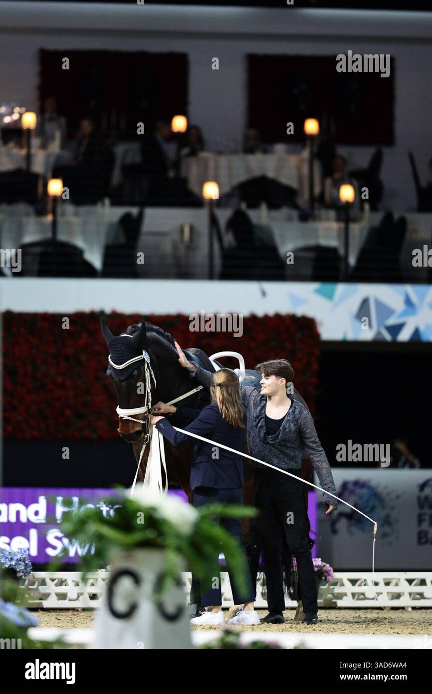 Quentin JABET of France with GOLDJUNGE during the FEI Vaulting World ...