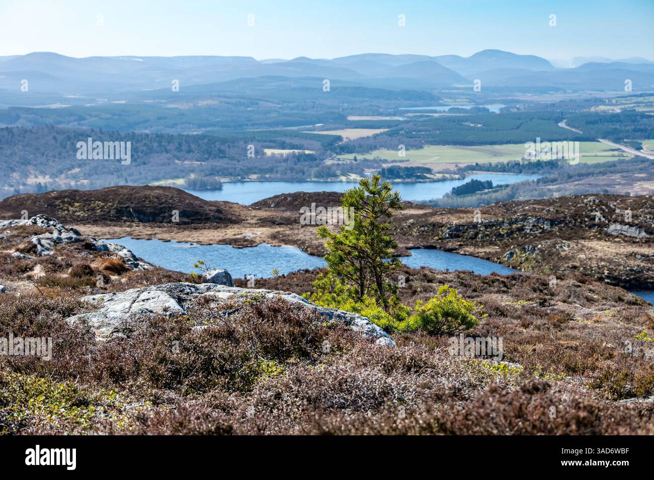 Aviemore, Scottish Highlands, Scotland, UK, 5th April 2025. UK Weather ...