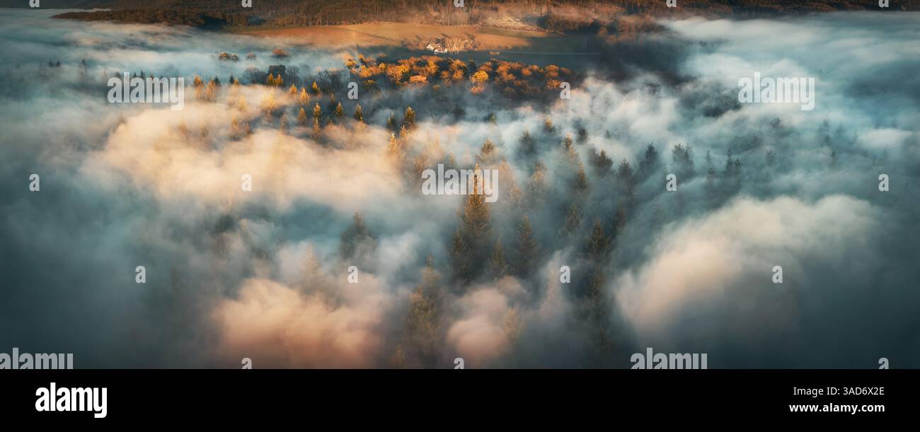 Aerial panorama of an illuminated mist over forest landscape in the ...
