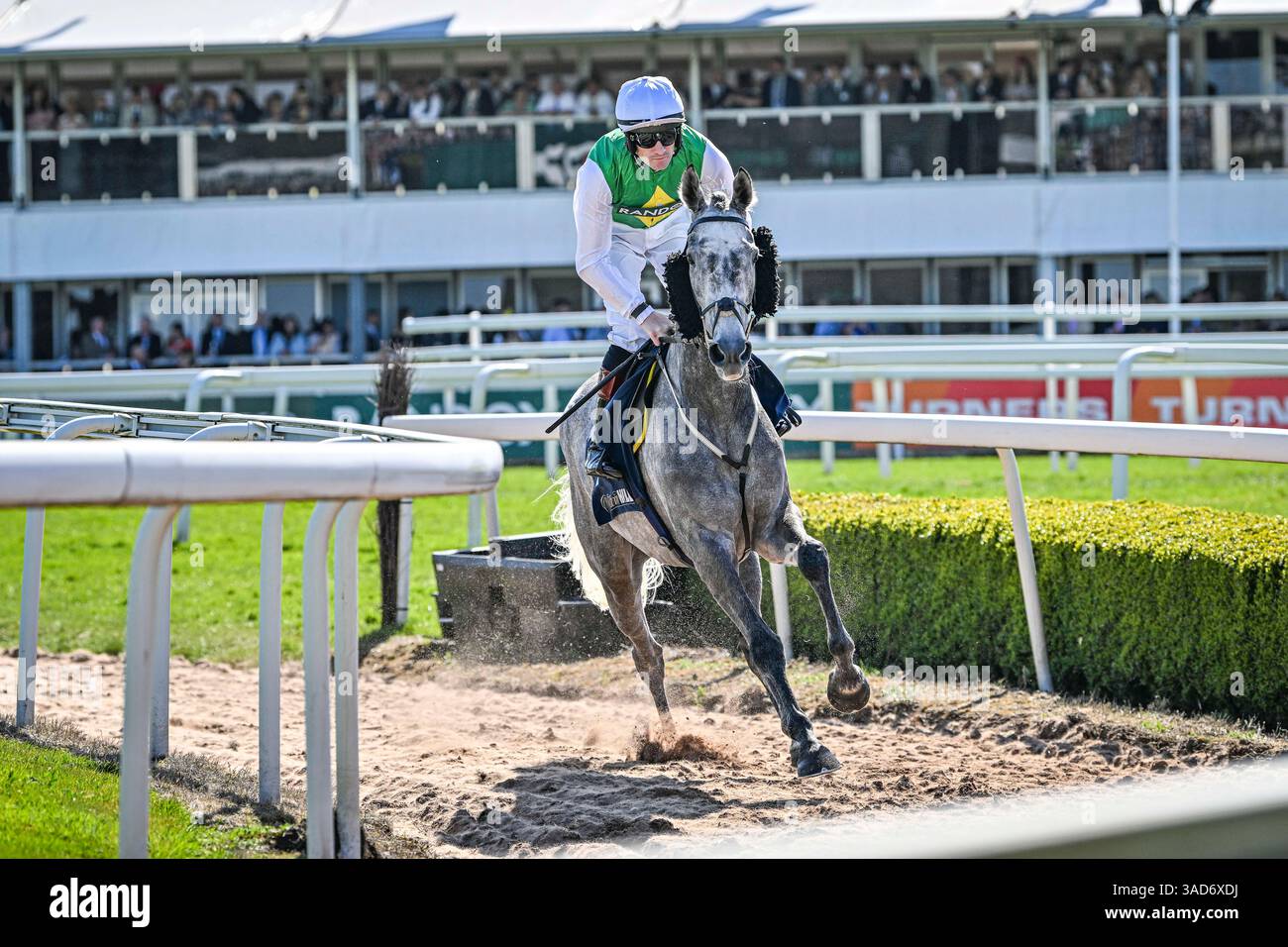 5th April 2025; Aintree Racecourse, Aintree, Merseyside, England: 2025 ...