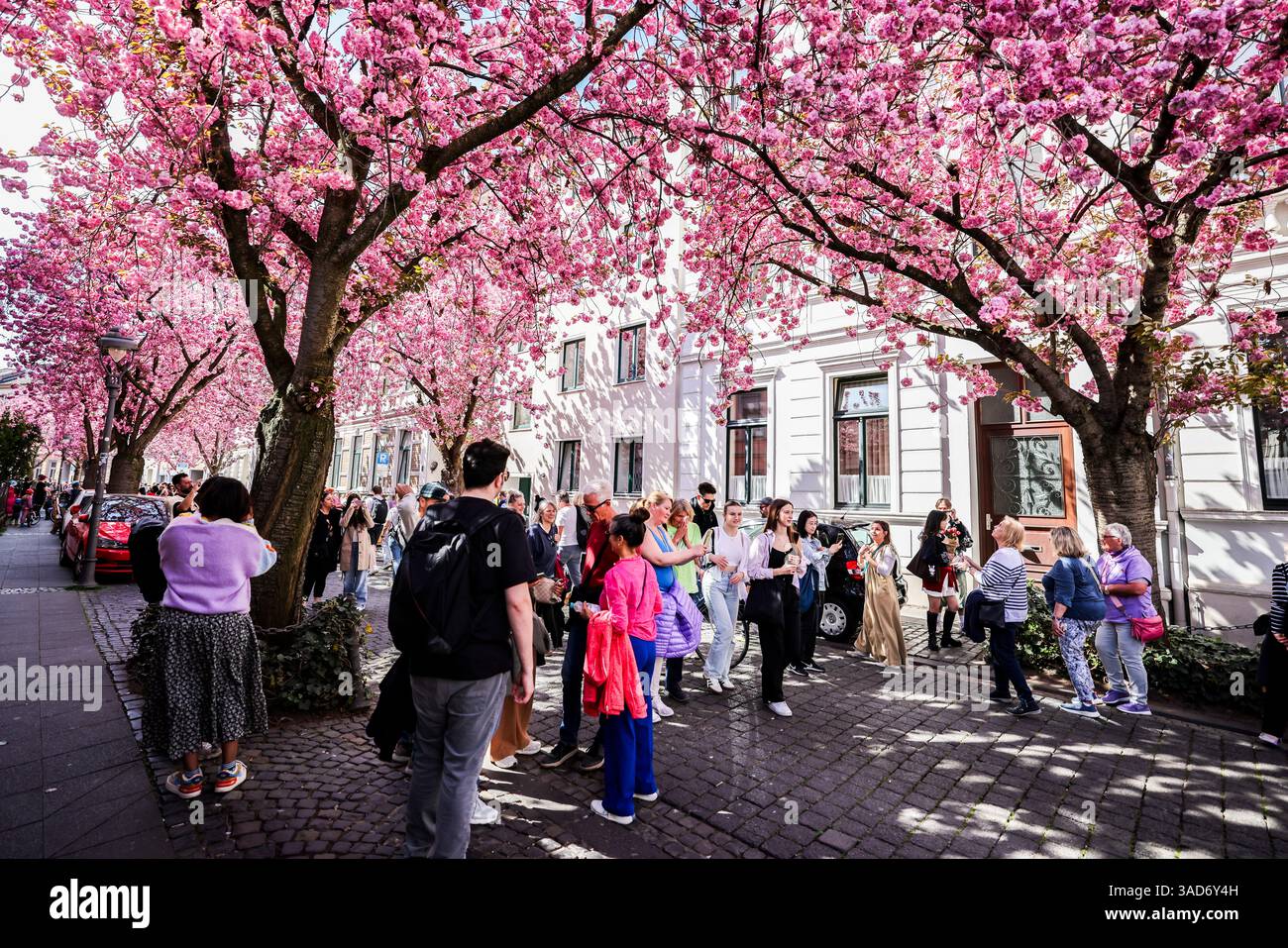Konigswinterer Strae Bonn