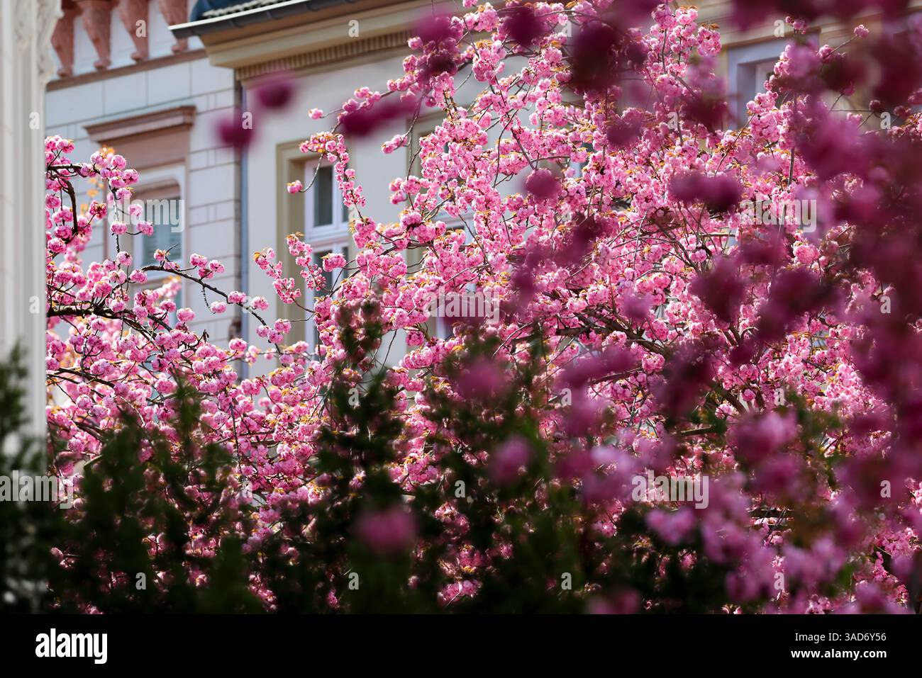 Konigswinterer Strae Bonn