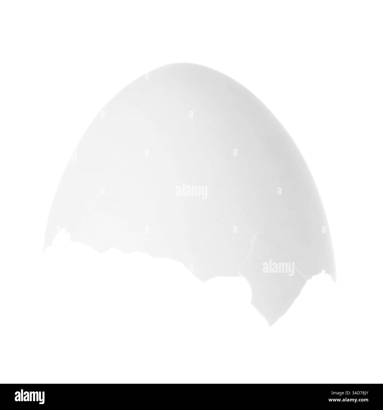 One piece of broken eggshell isolated on white Stock Photo - Alamy