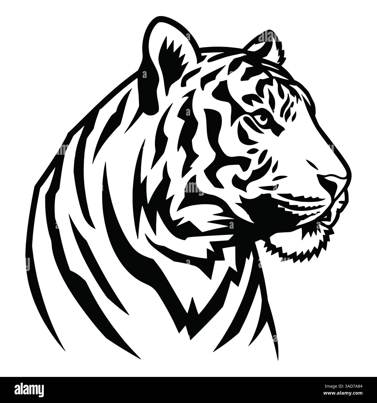 Tiger teams Cut Out Stock Images & Pictures - Alamy