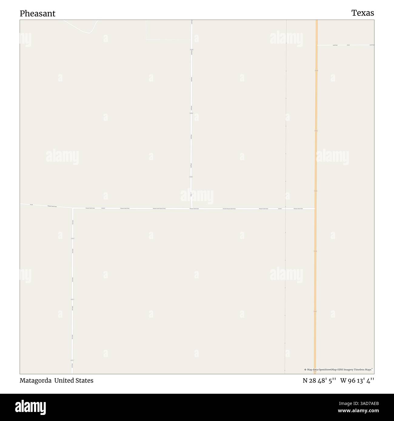 Pheasant, Matagorda, United States, Texas, N 28 48' 5'', W 96 13' 4 ...