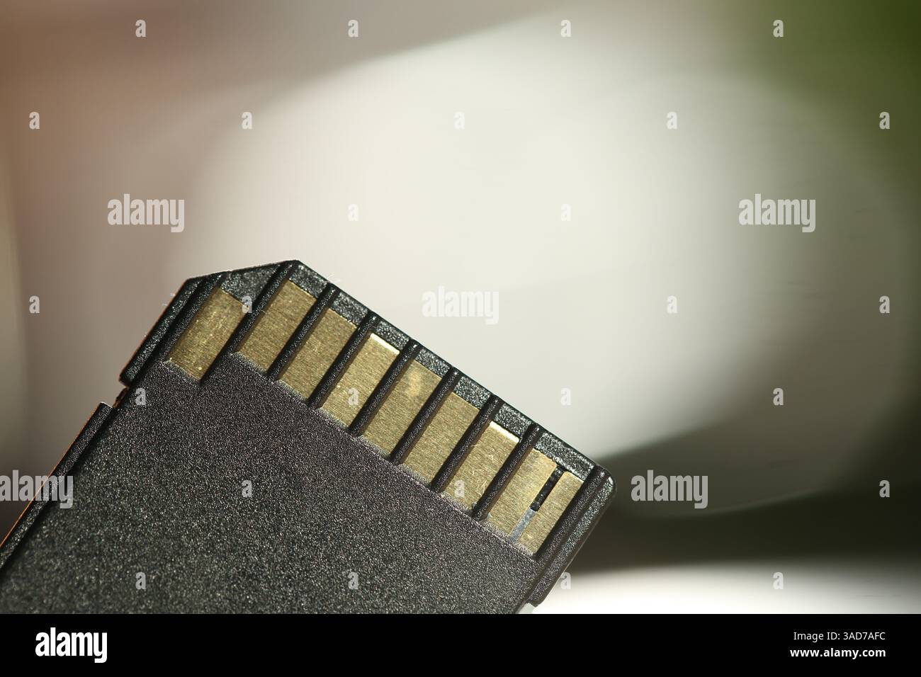 One SD memory card on blurred background, closeup. Space for text Stock ...
