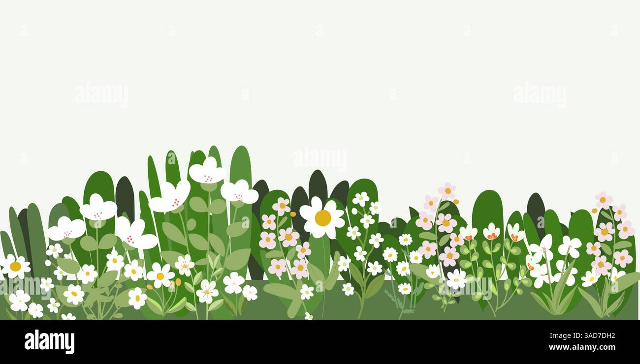 Summer, spring white wild flower border flat vector modern style Stock ...