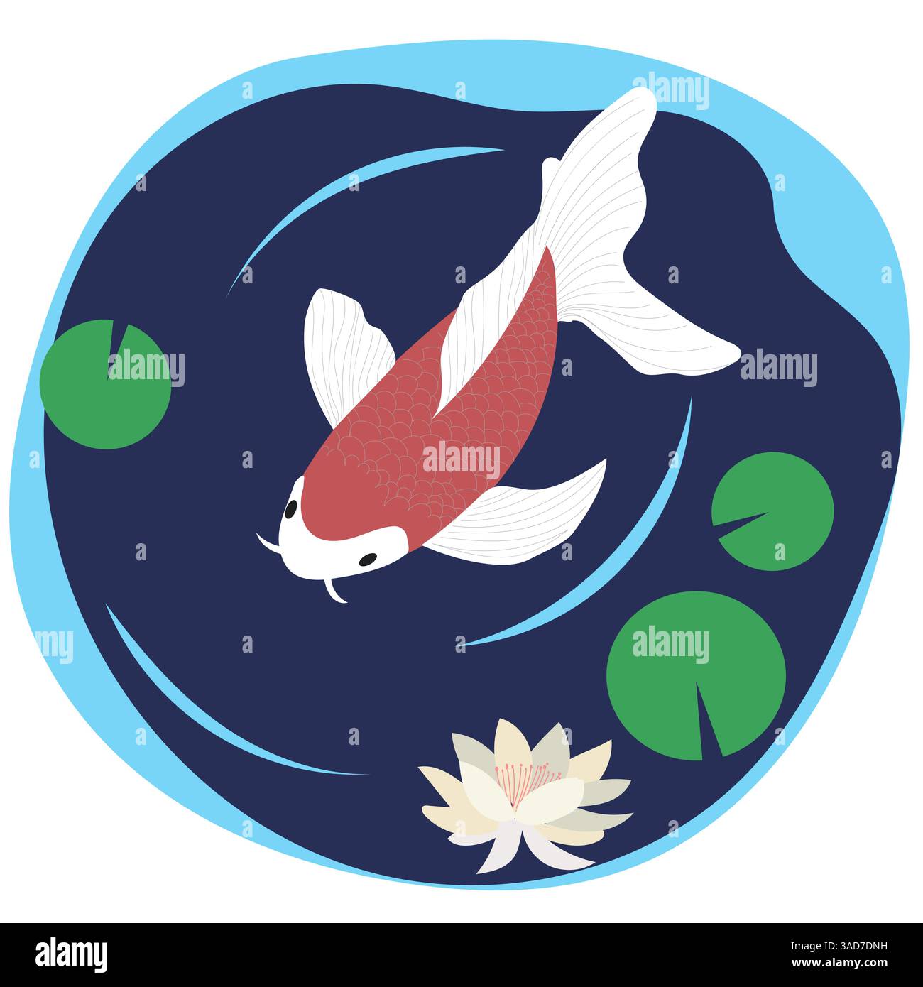 Koi fish isolated in the pond, japanese traditional illustration, flat ...