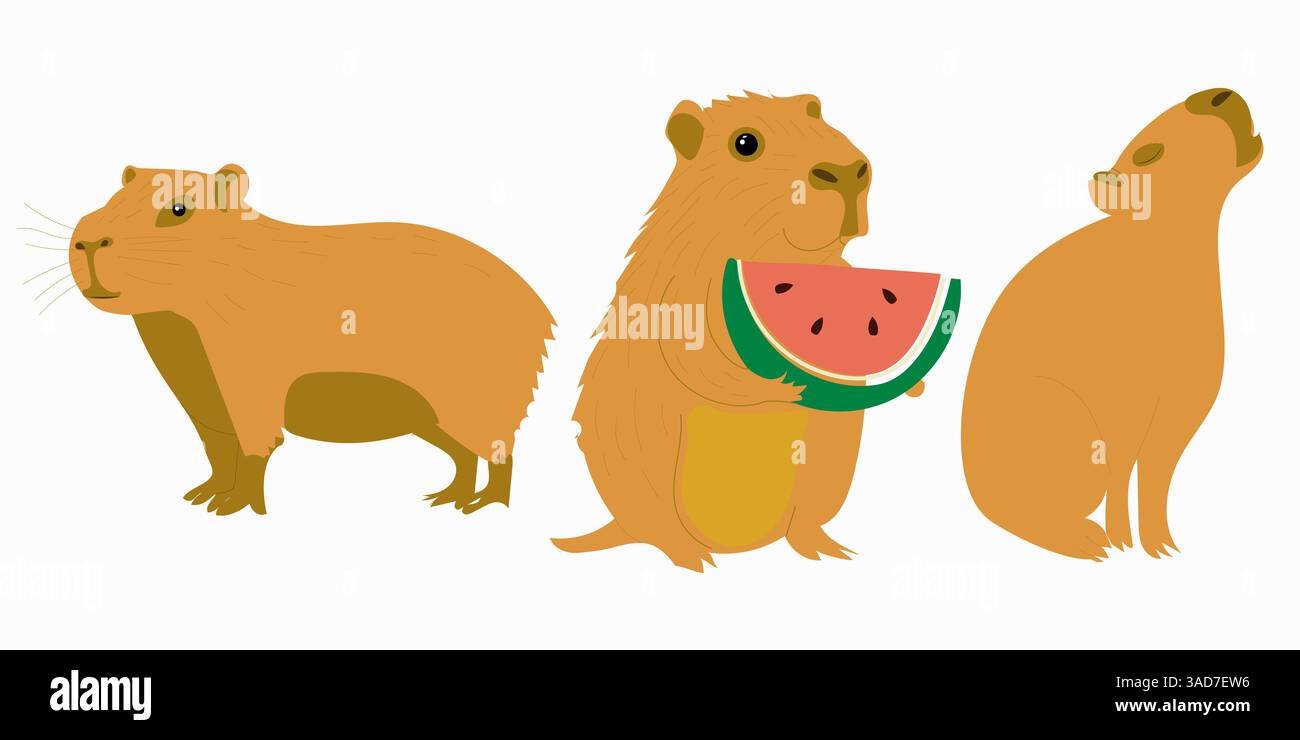 Set of capybaras isolated, flat design, cartoon, cute pet animal Stock Vector Image & Art - Alamy