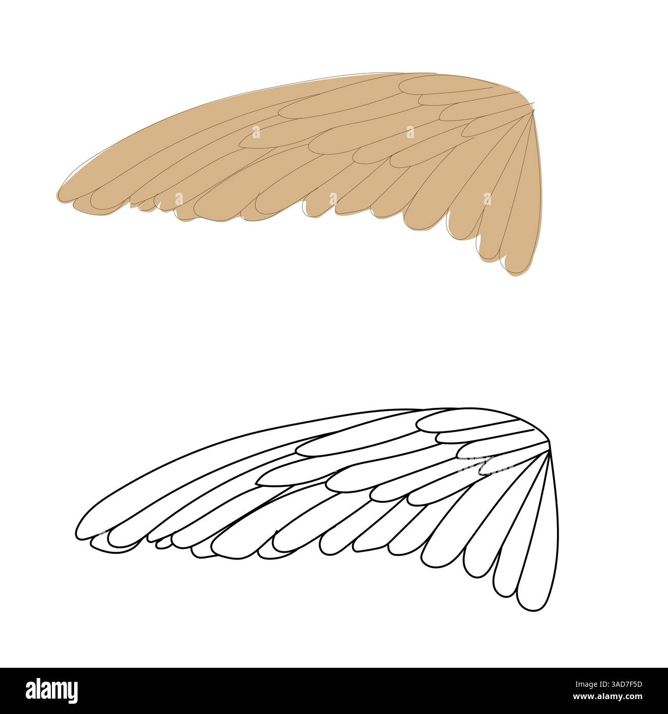 Spread wings of swift bird, flat design, line art Stock Vector Image ...