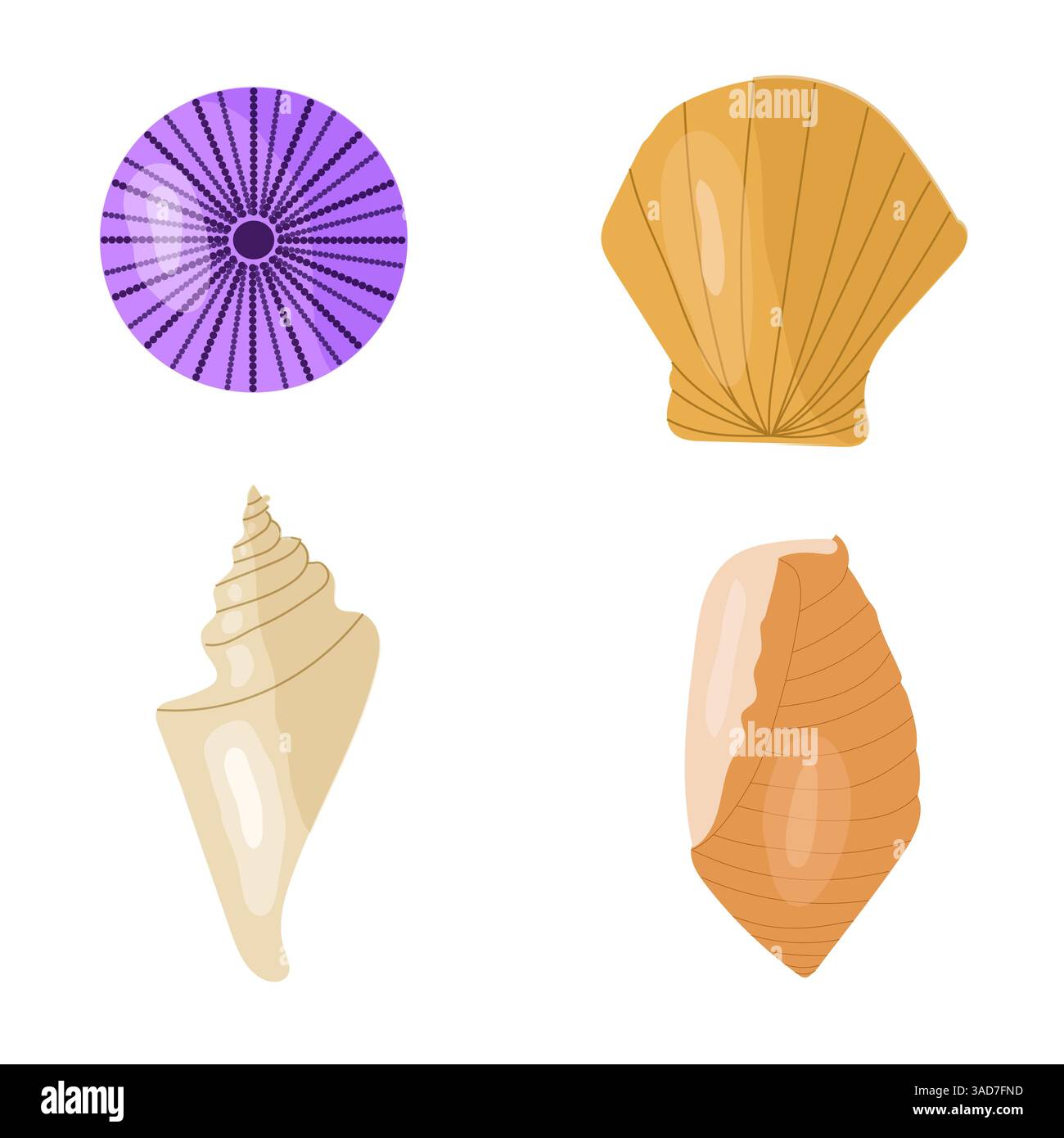 Set of colored shells isolated, cartoon, flat design Stock Vector Image ...