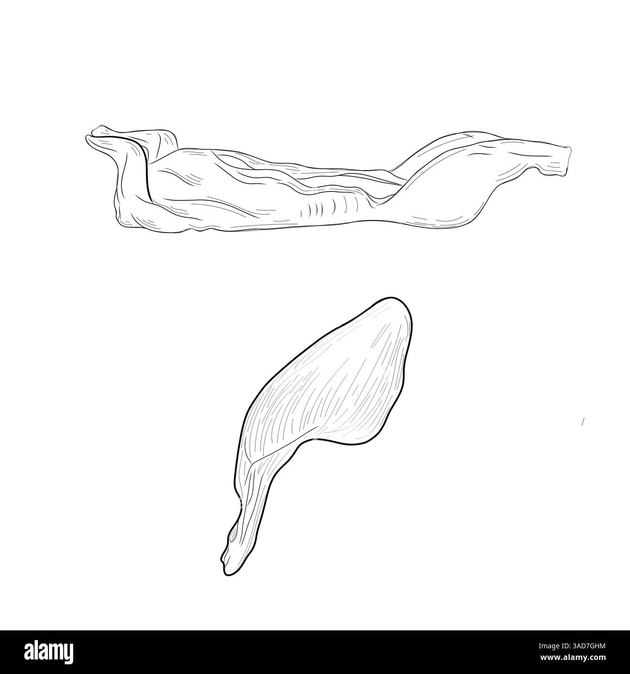 Set of line meat of rabbit, bunn, cony isolated, line art, sketch ...