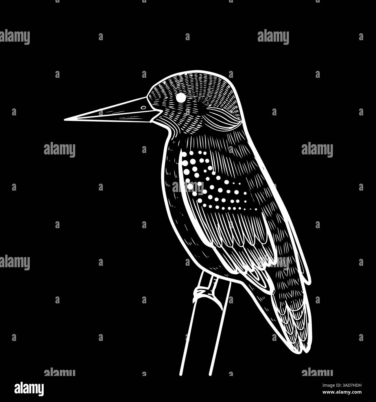 Lineocut kingfisher isolated, sketch, line art Stock Vector Image & Art ...
