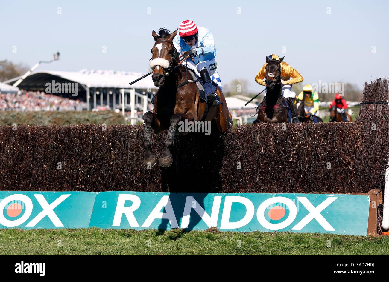 Cruz Control ridden by Stan Sheppard on their way to winning the ...
