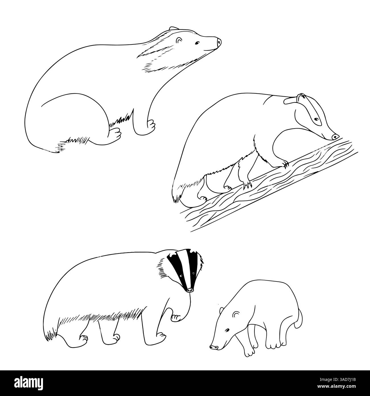 Set line drawing poses Cut Out Stock Images & Pictures - Alamy